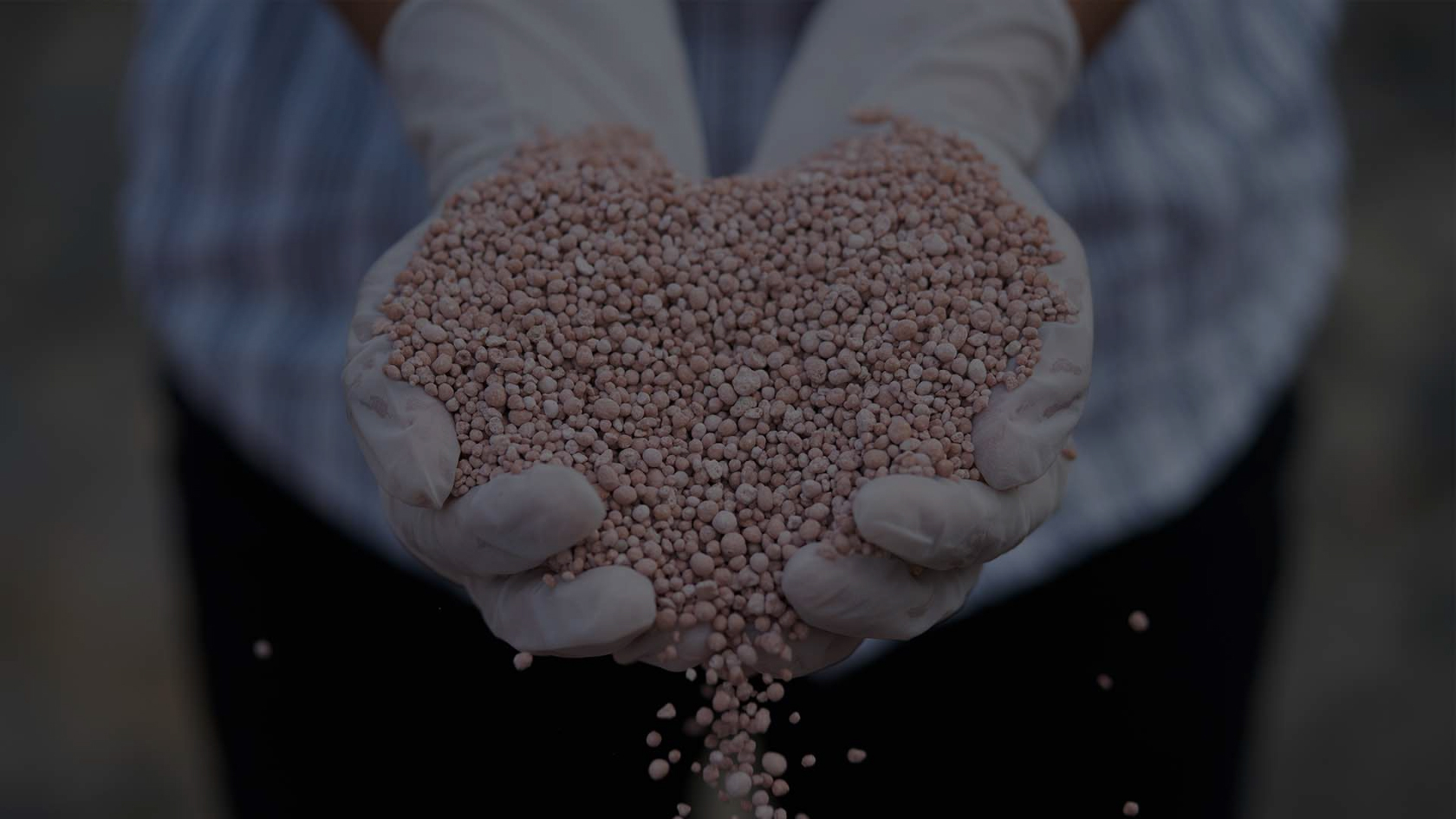 Boron Fertilizer Learn More About Boron Fertilizer