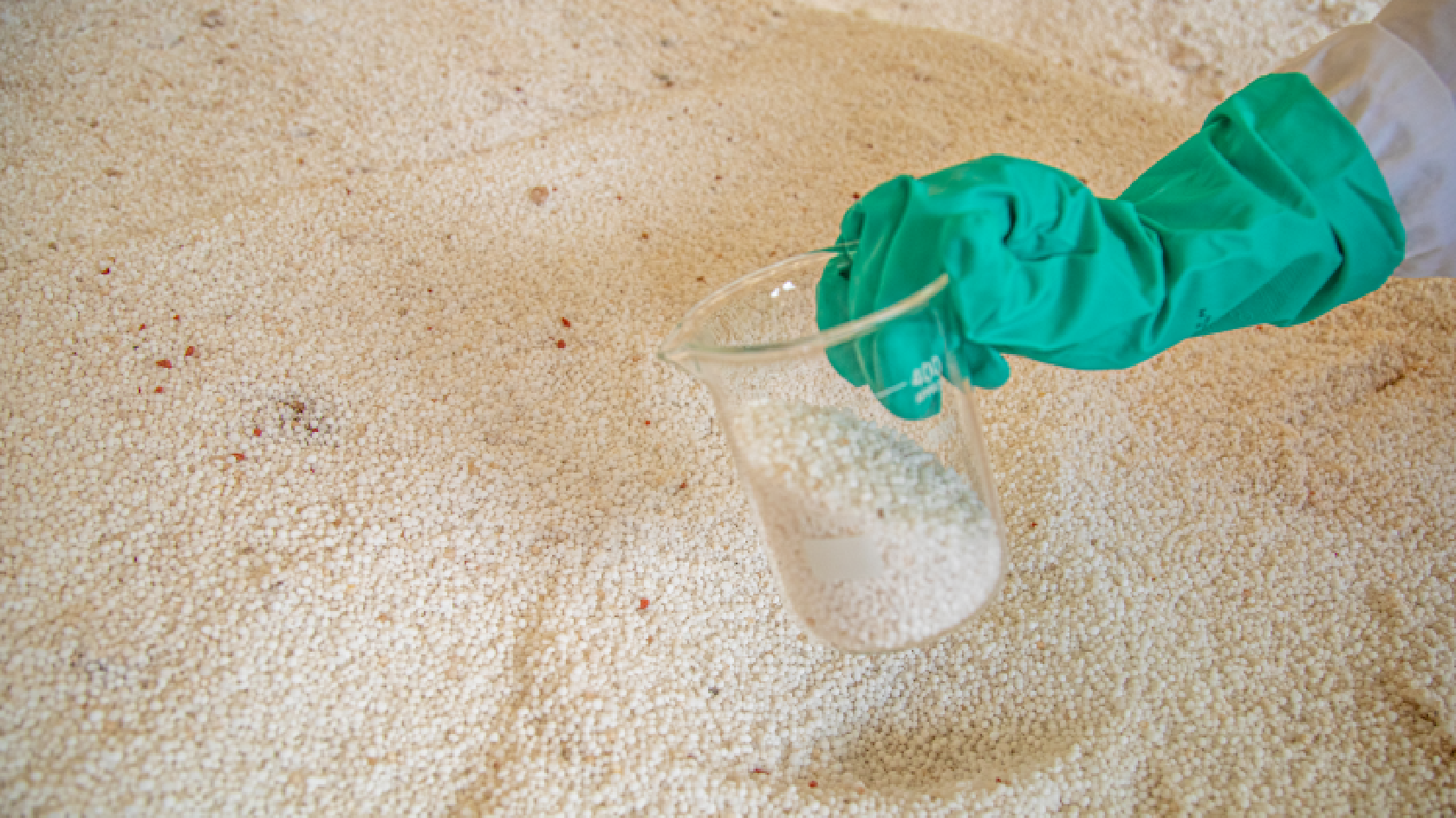 FIVE THINGS YOU MUST KNOW ABOUT USING UREA FERTILIZERS